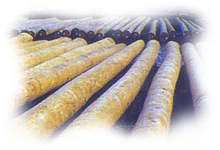 Southern Pine Timber Products - Products and Services - Pilings